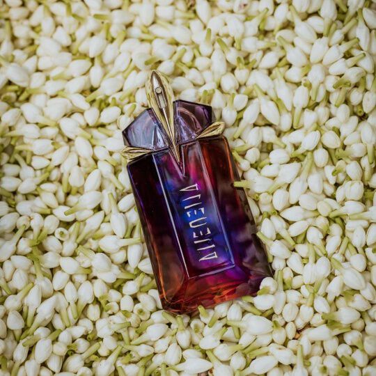 Enter into the Mugler universe I Mugler